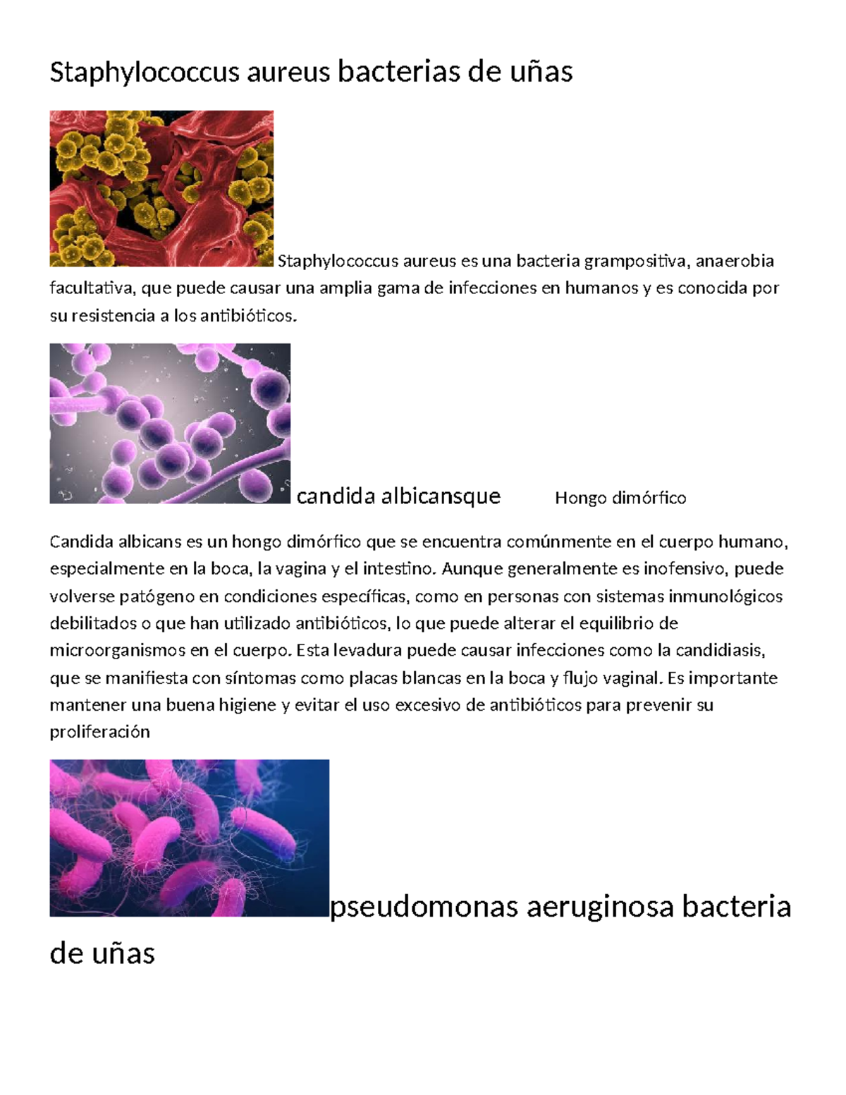 Bacterias y Hongos en Uñas: Staphylococcus aureus y Candida albicans ...