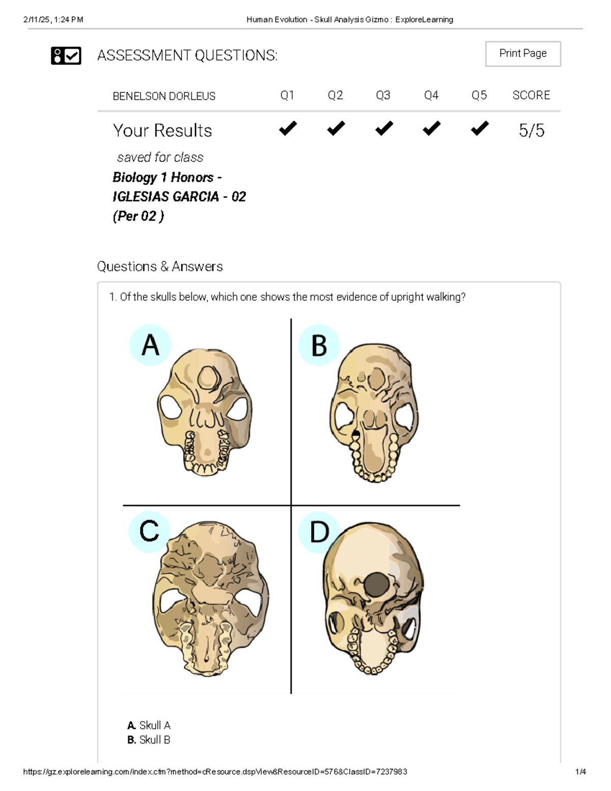 Human Evolution - Skull Analysis Gizmo Explore Learning - ASSESSMENT ...