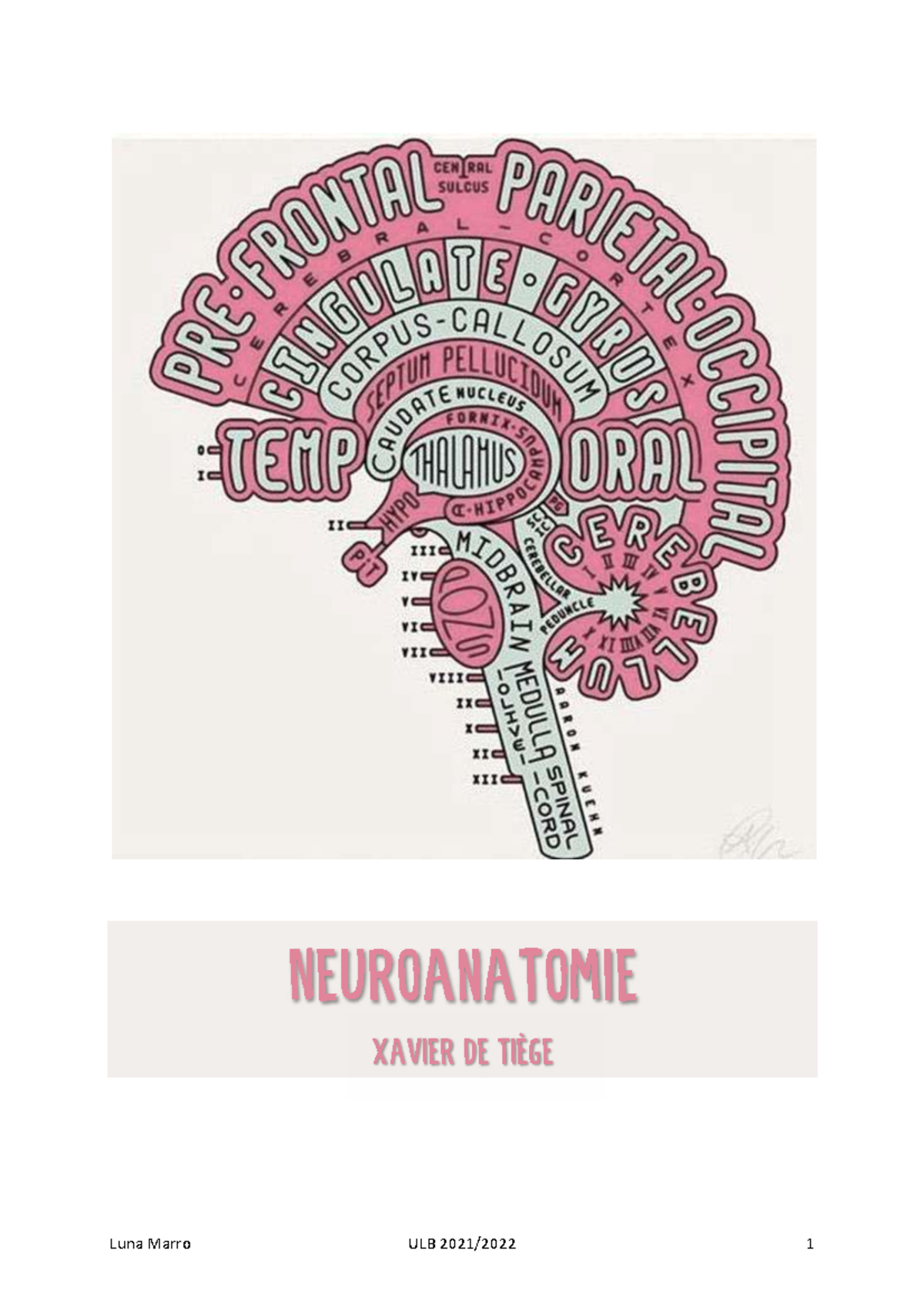 Neuroanatomie ULB 1: Introduction et Bases du Système Nerveux - Studocu