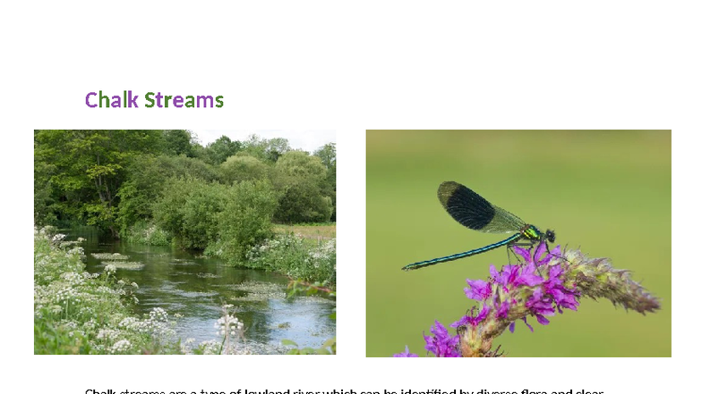 Chalk Streams: Ecology, Threats, and Conservation Insights - Studocu