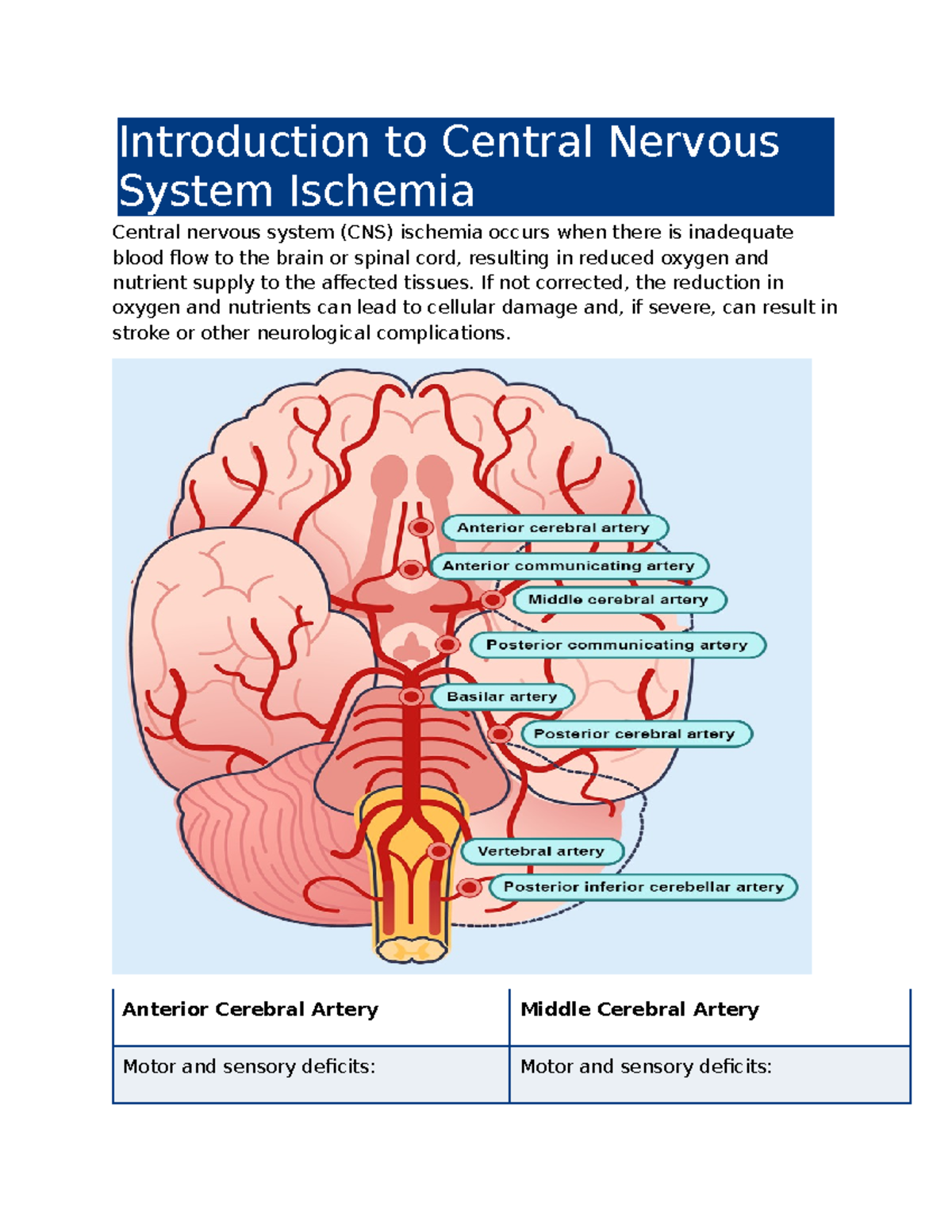 CNS Ischemia: Comprehensive Overview of Pathophysiology and Treatment ...