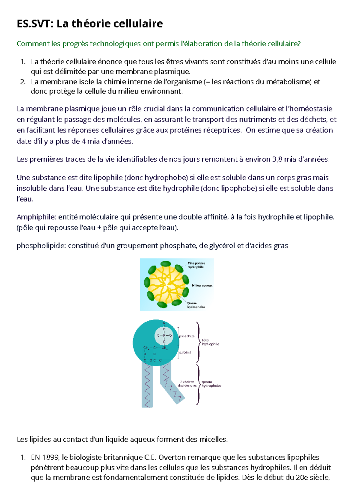 ES.SVT La théorie cellulaire - ES: La théorie cellulaire Comment les ...