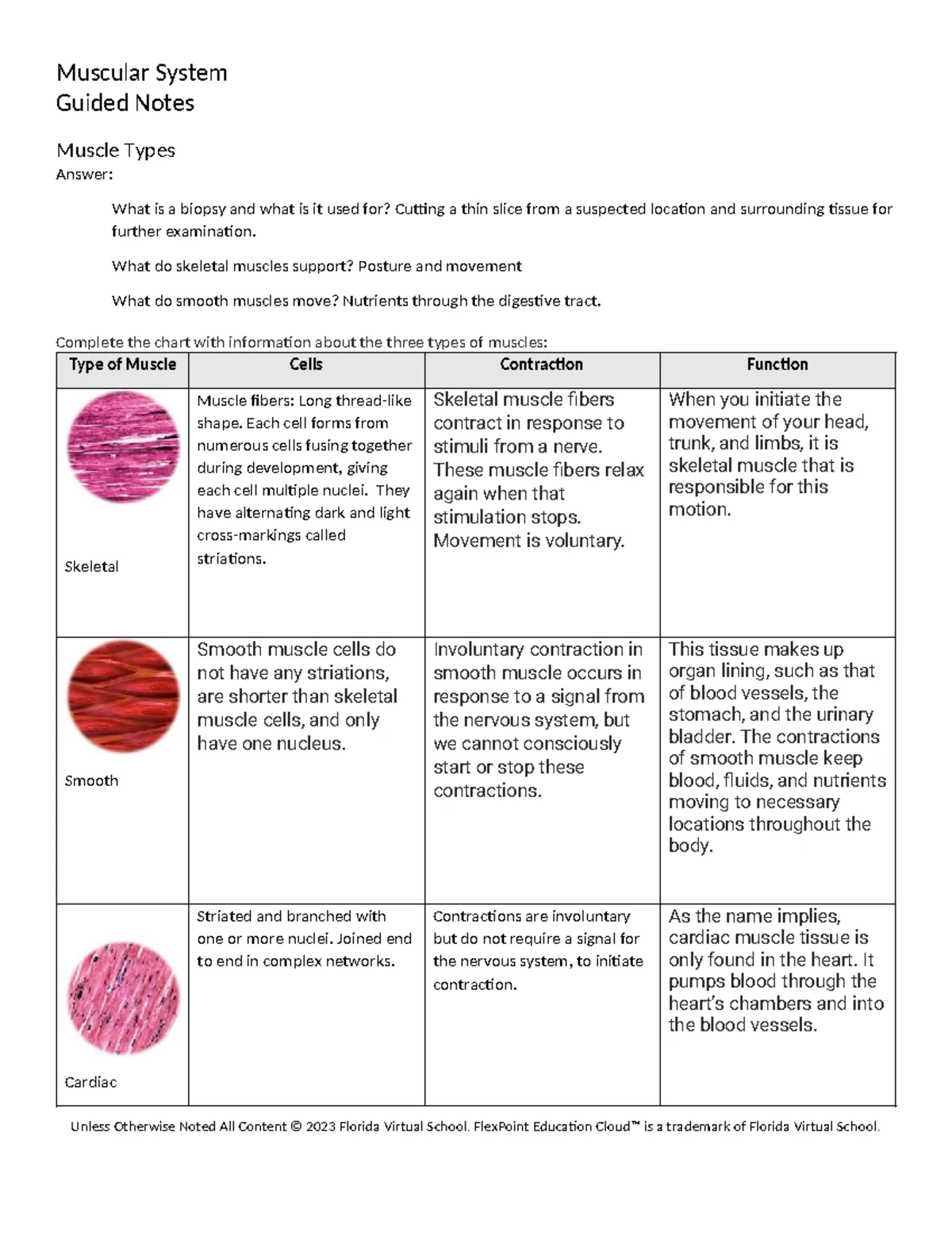 Physiology Basics Worksheet: Tissue Types & Functions Analysis - Studocu