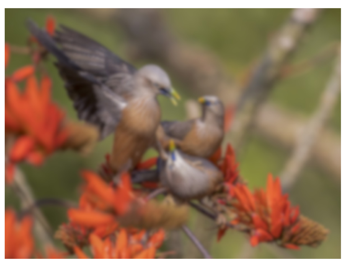 Drugs for Attention PCL200 2023 - Yerkes and Dodson – relationship ...