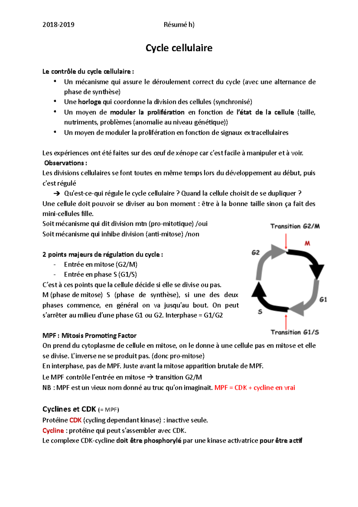 H) résumé - Warning: TT: undefined function: 32 Cycle cellulaire Le ...