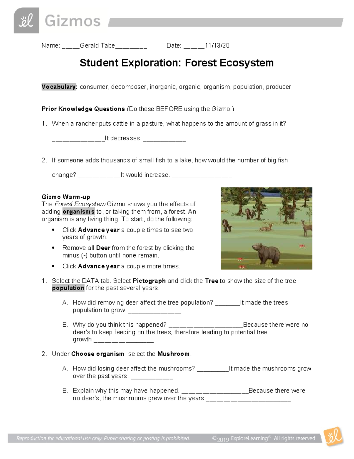 Forest ecosystem gizmo exploration and vocabulary notes - Studocu