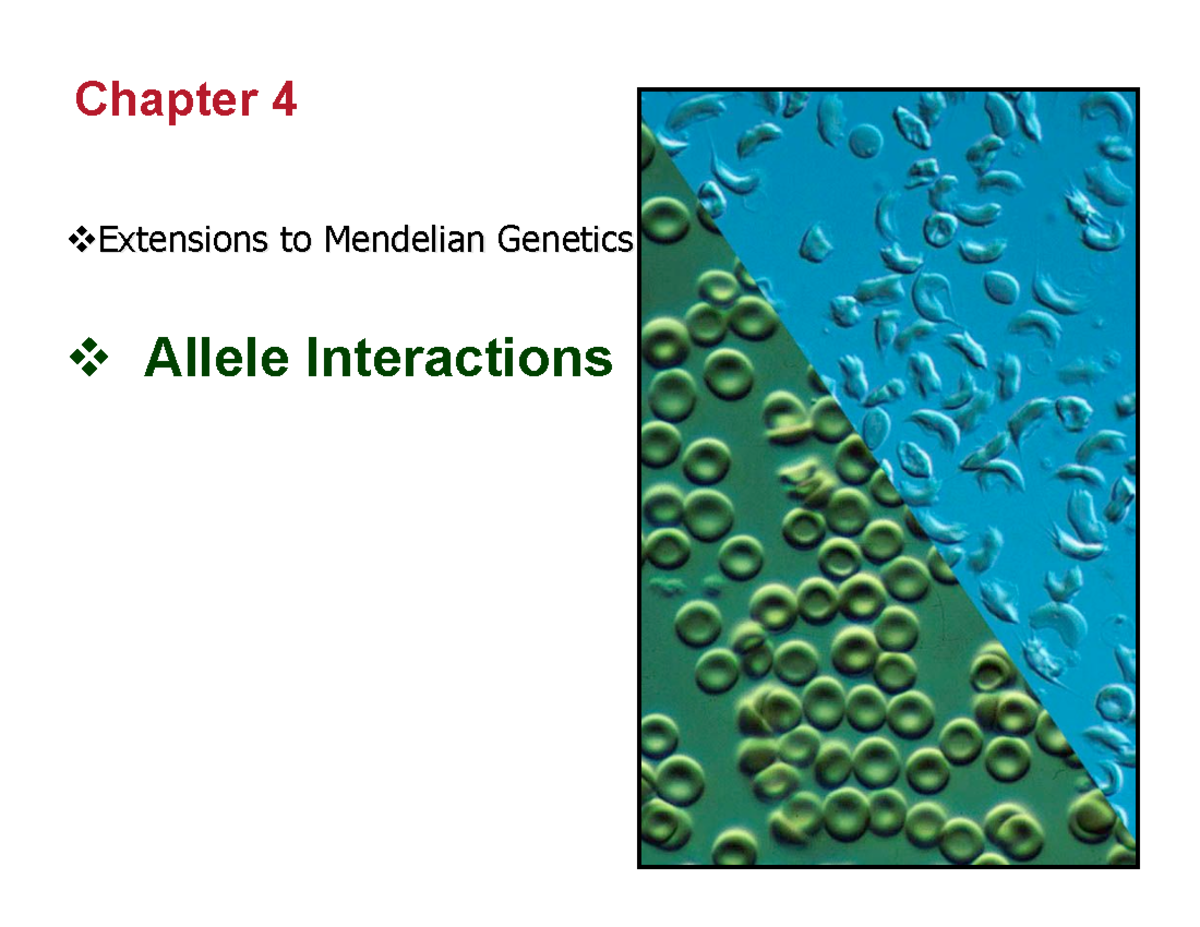 Allele Interactions - Allelic interaction notes - Chapter 4 ...