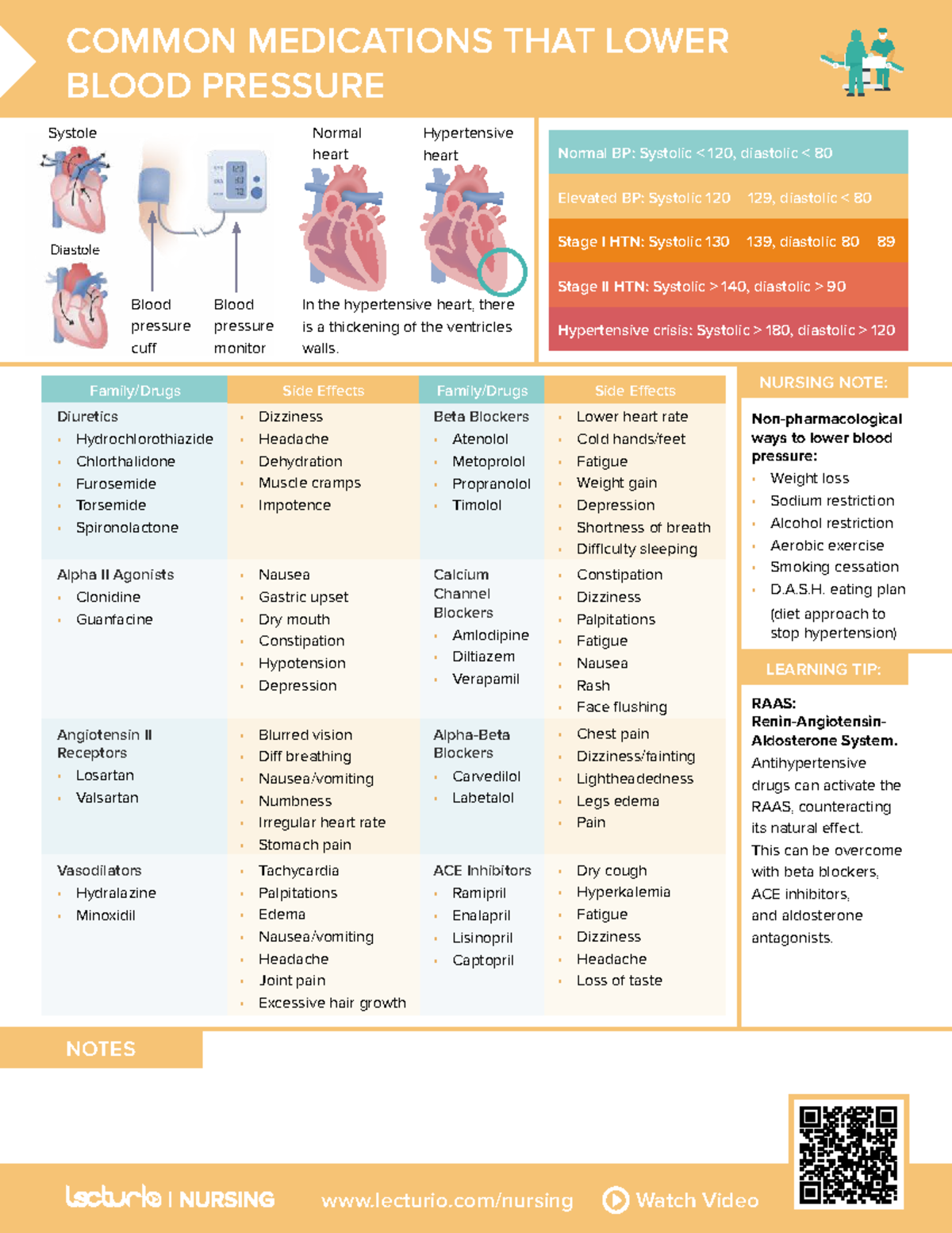 Hypertension Management: Common Medications & Nursing Notes (NURS 101 ...