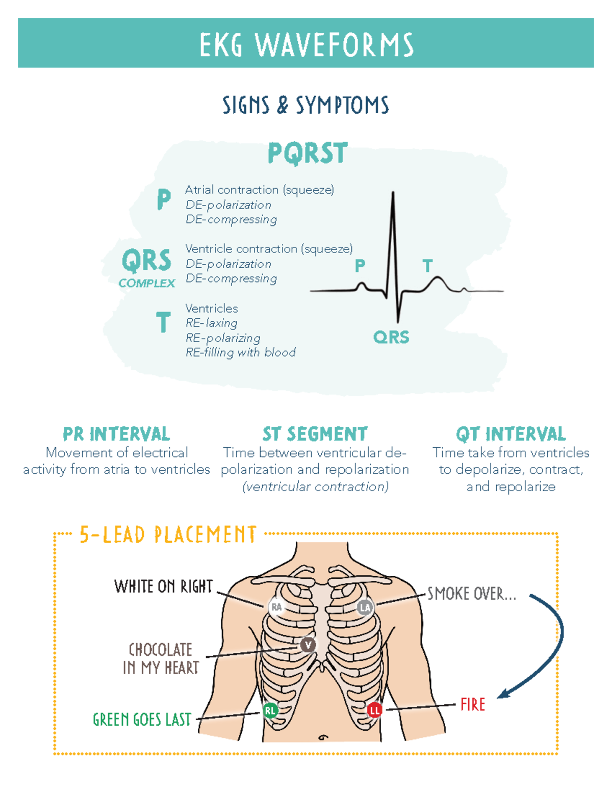 Ekg - EKG help - EKG WAVEFORMS PQRST P T QRS Atrial contraction ...