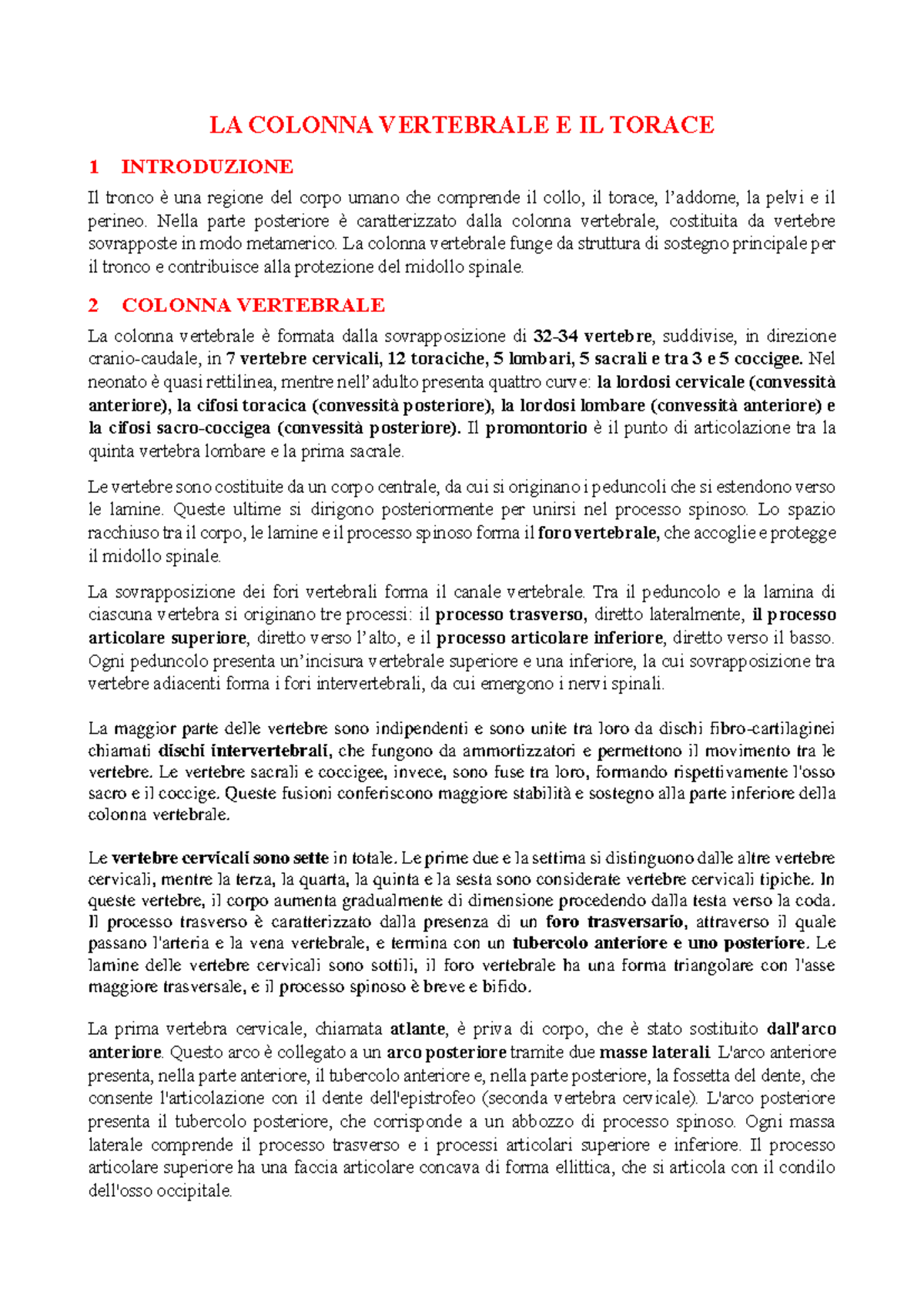 7 LA Colonna Vertebrale e il Torace: Struttura e Funzioni - Studocu