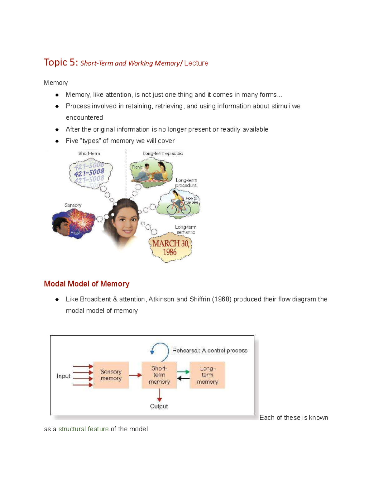 Cognition 5-8: Working Memory and Memory Processes Overview - Studocu