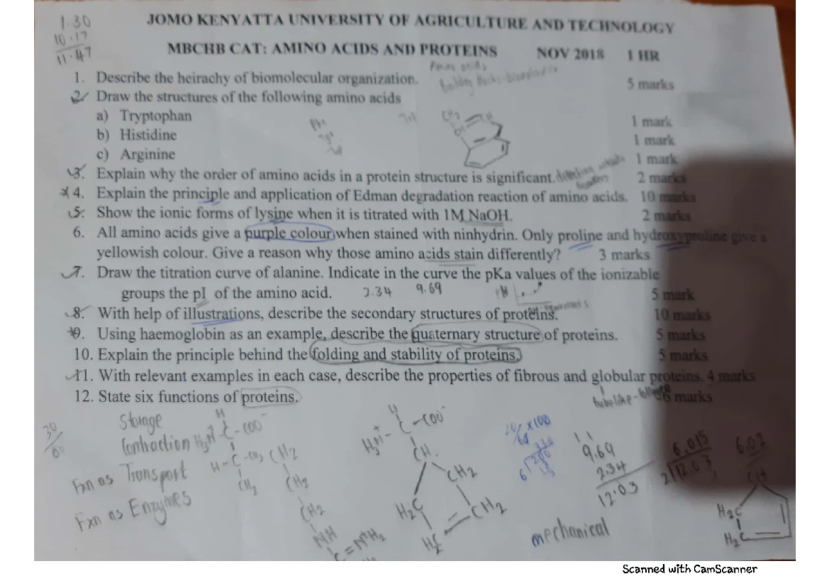 Bio experiment 4 lab report practical - Introduction: Mitosis has been ...
