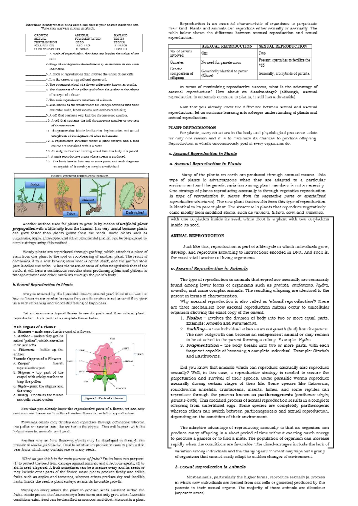 Bio2-Lesson-1 - Biology 3rd Quarter Lesson 1 - Direction: Identify what ...