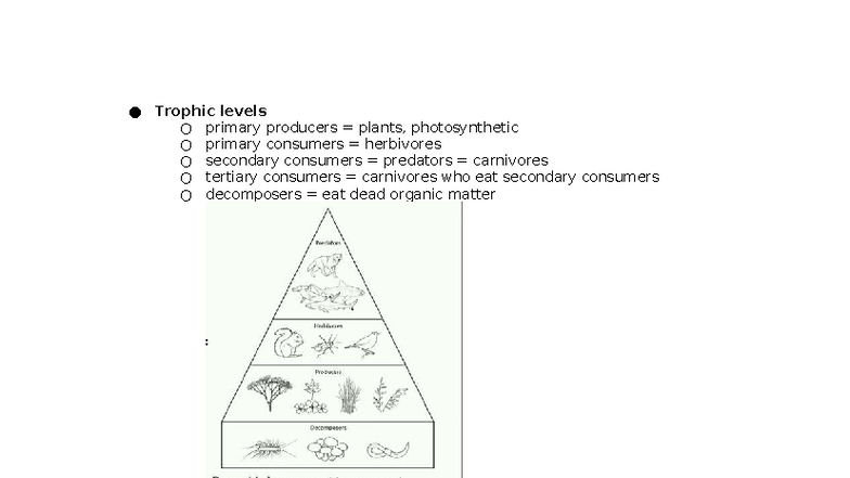 Lec 23: Trophic Relationships & Plant-Animal Interactions - Studocu
