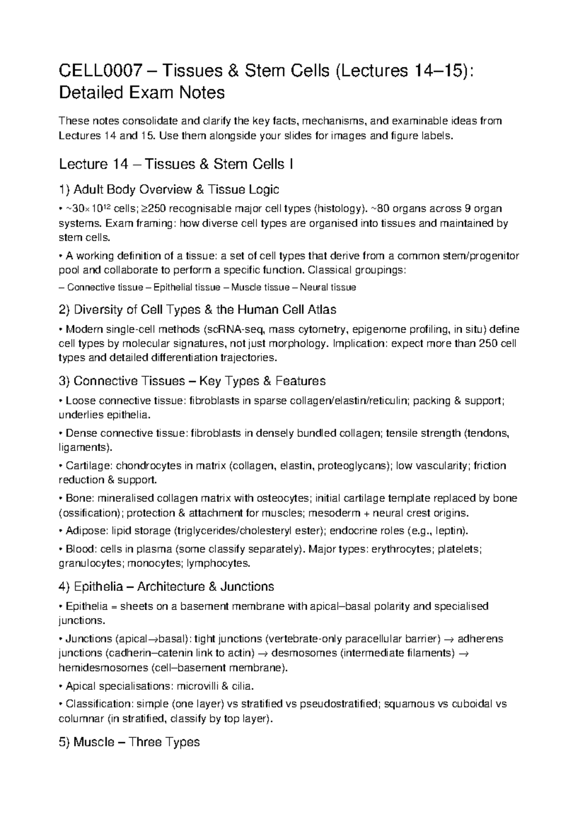 CELL0007 Lecture Notes: Tissues & Stem Cells (Lectures 14-15) - Studocu