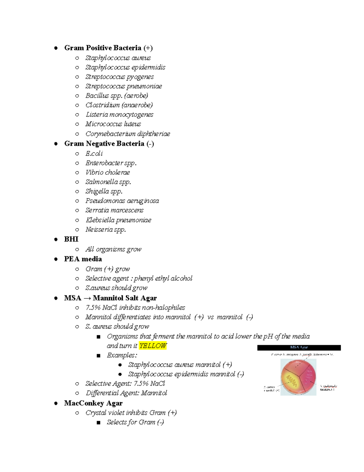 Microbiology - Notes - Gram Positive and Negative Bacteria + Agar ...