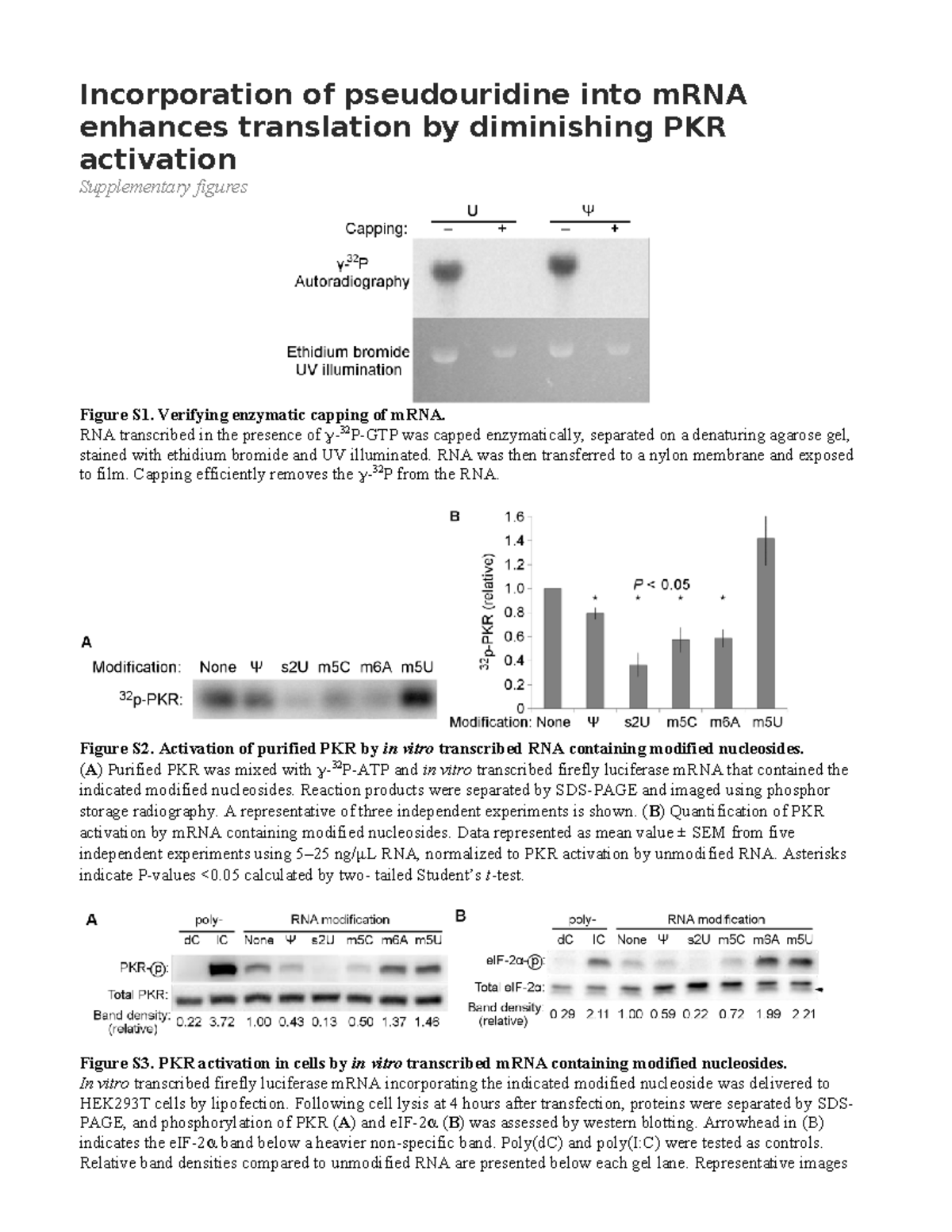 Incorporation of Pseudouridine in mRNA: Enhancing Translation & PKR ...