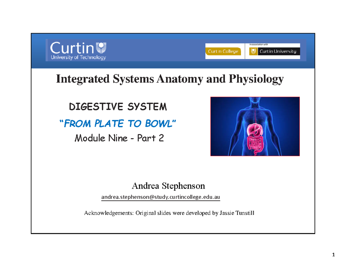 Module 9 Part 2: Digestive System Anatomy & Physiology MCQs - Studocu