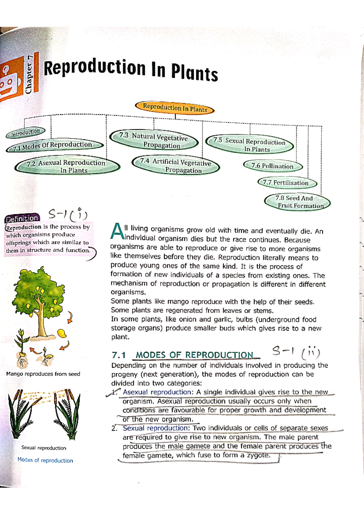 Chapter 7 Reproduction in plants - Reproduction In Plants Reproduction In Plants Introduction 7 ...
