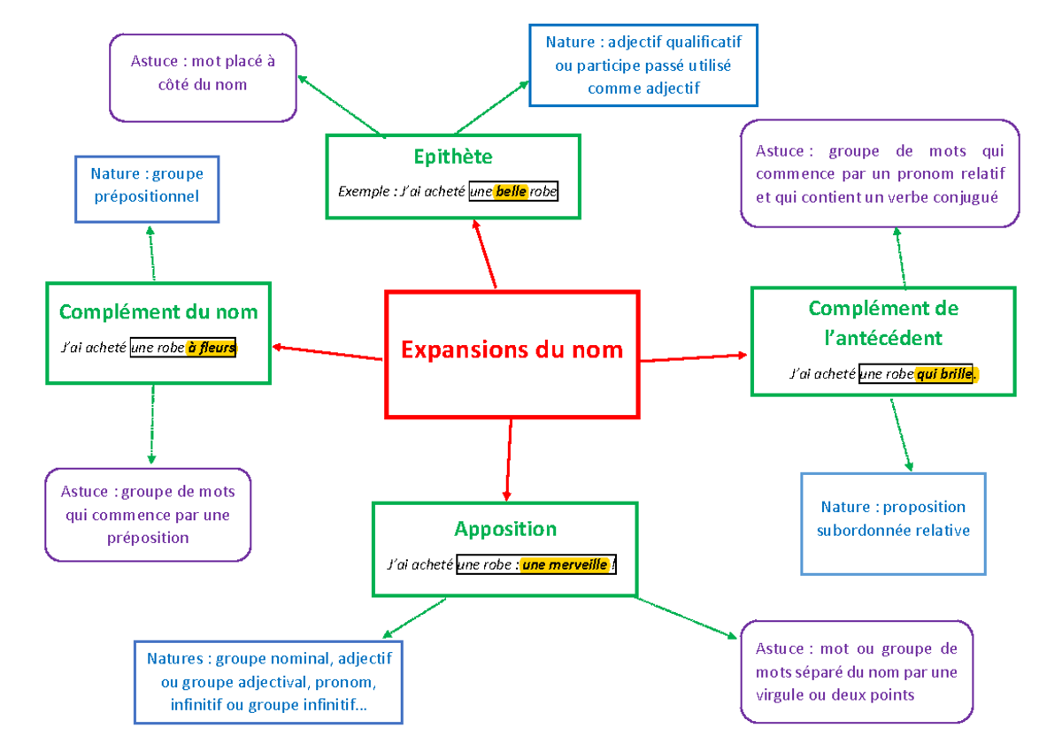 Carte mentale: Expansions du nom - Version 2 - Studocu