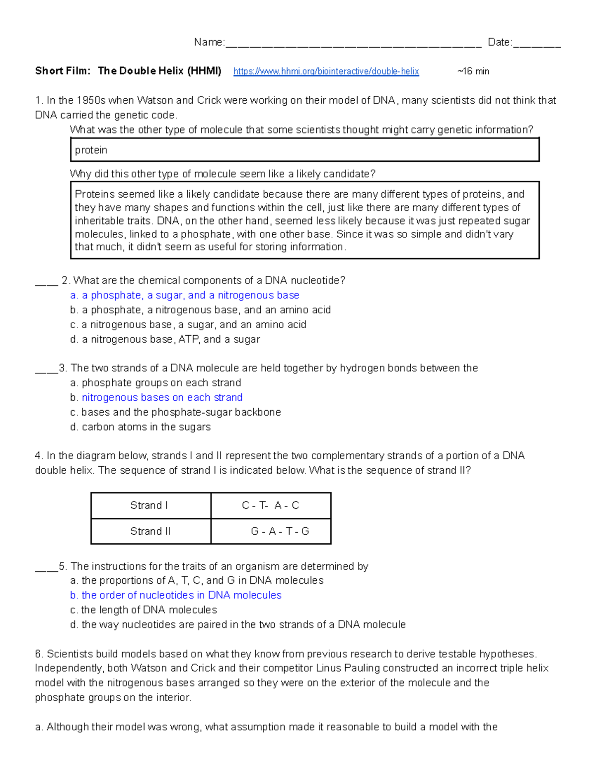 Double Helix Film HHMI - Answer Key for DNA Structure Study - Studocu