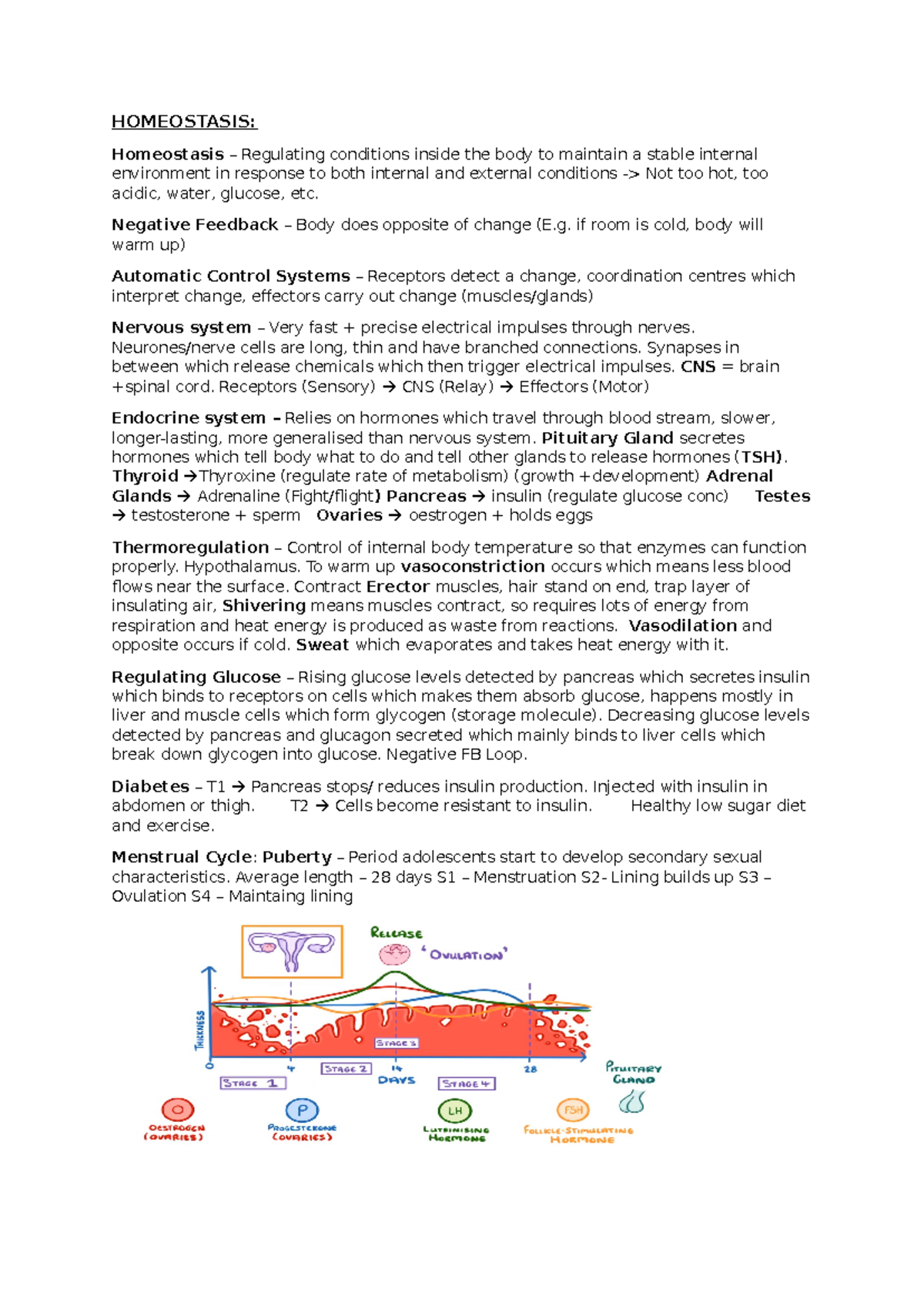 Bio P2 Notes - asffsafasf - HOMEOSTASIS: Homeostasis – Regulating ...
