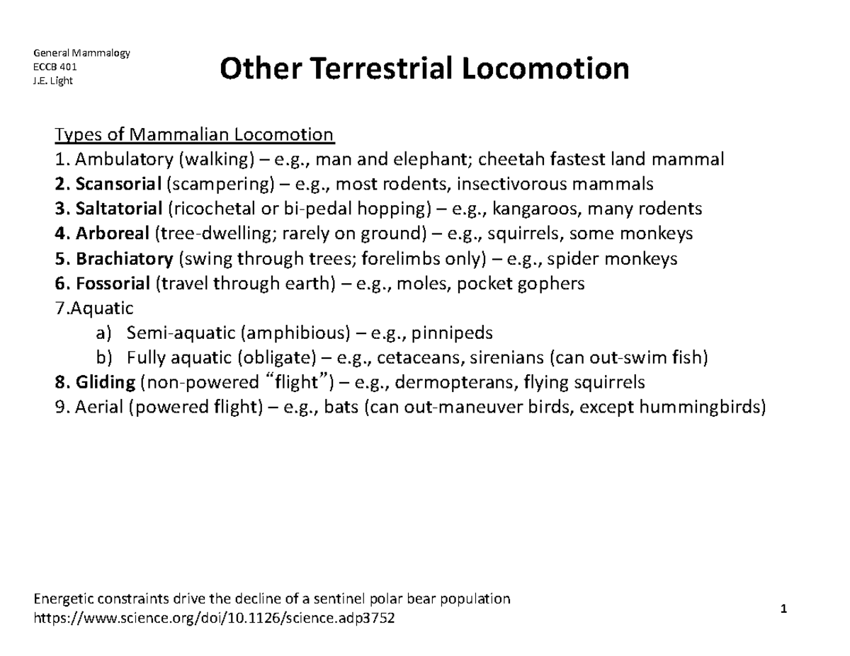 Mammalian Locomotion Types and Energetics - ECCB 401 Study Guide - Studocu