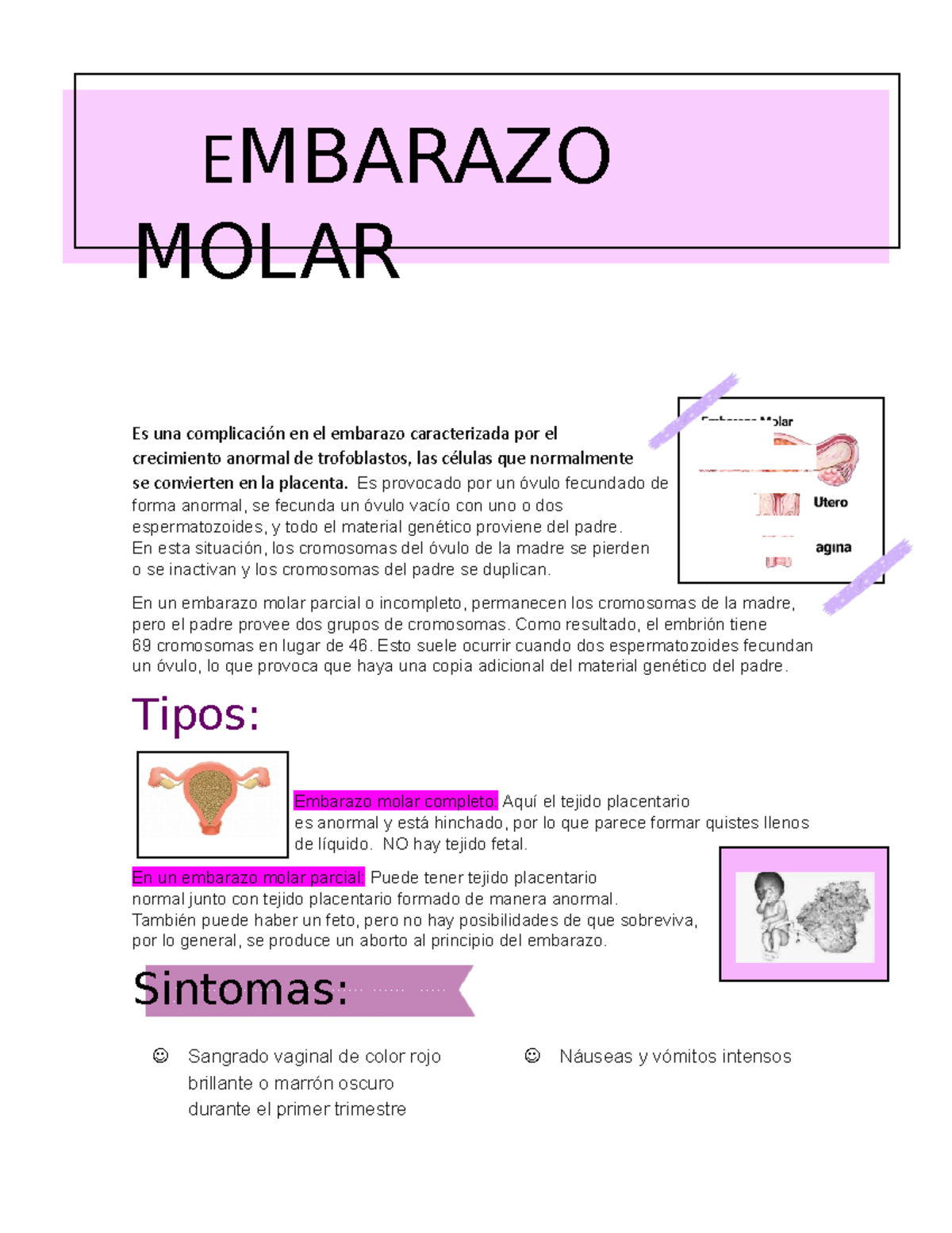 Embarazo Molar en embriologia - EMBARAZO MOLAR Es una complicación en ...