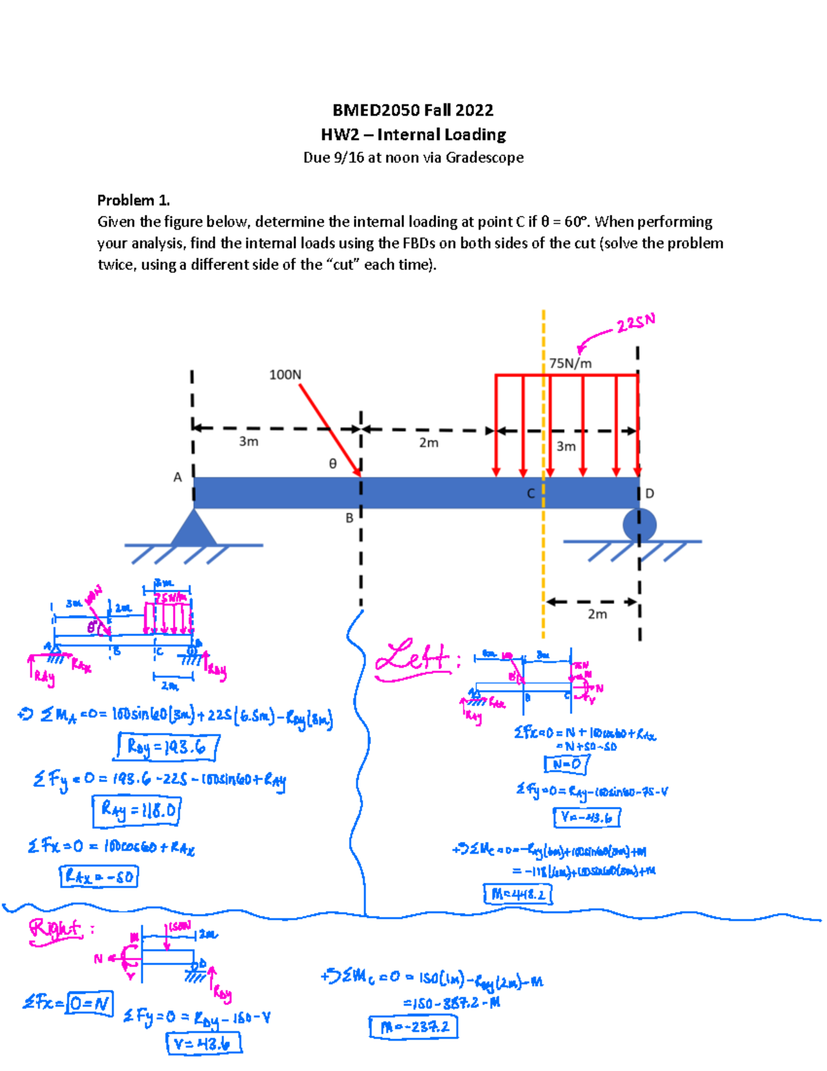 BMED2050 Fall 2022 Biomechanics HW2 Internal Loading Solutions - Studocu