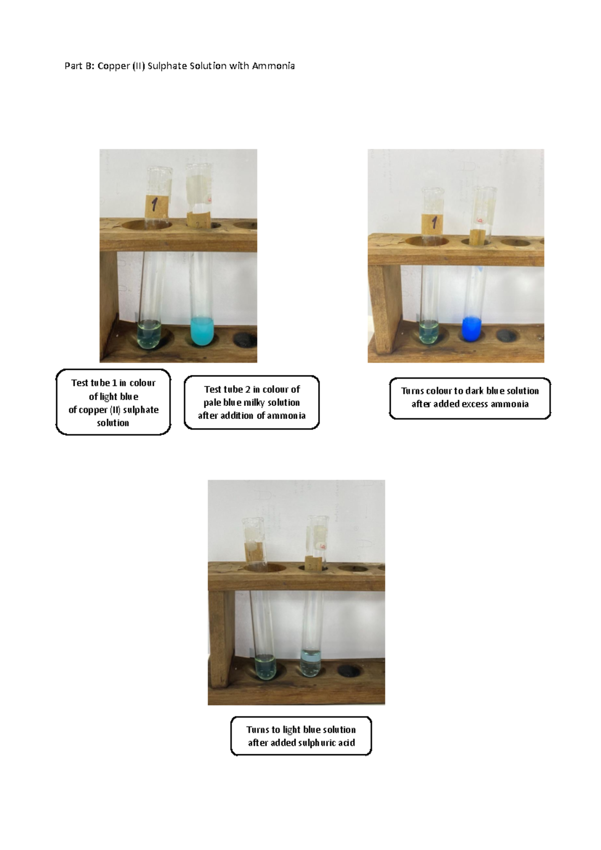 Exp 5 lab report chem uitm - Part B: Copper (II) Sulphate Solution with ...