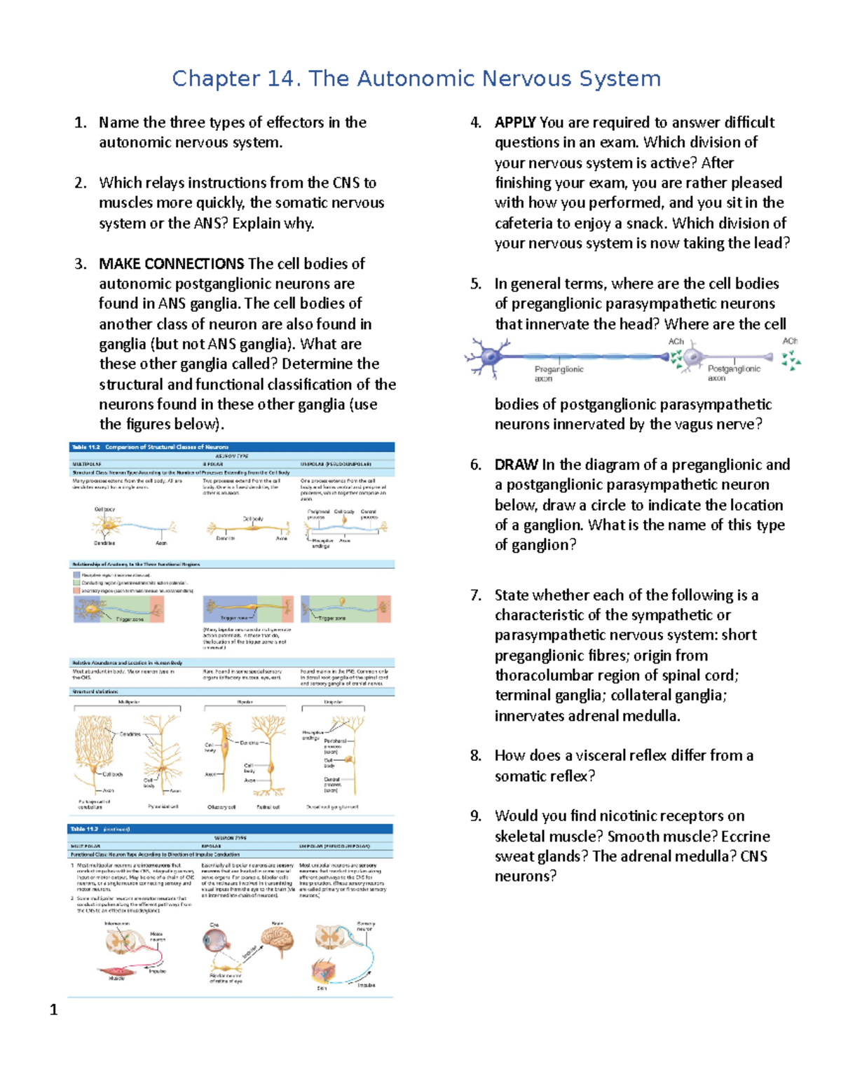 Chapter 14 The Autonomic Nervous System Practice Questions Studocu
