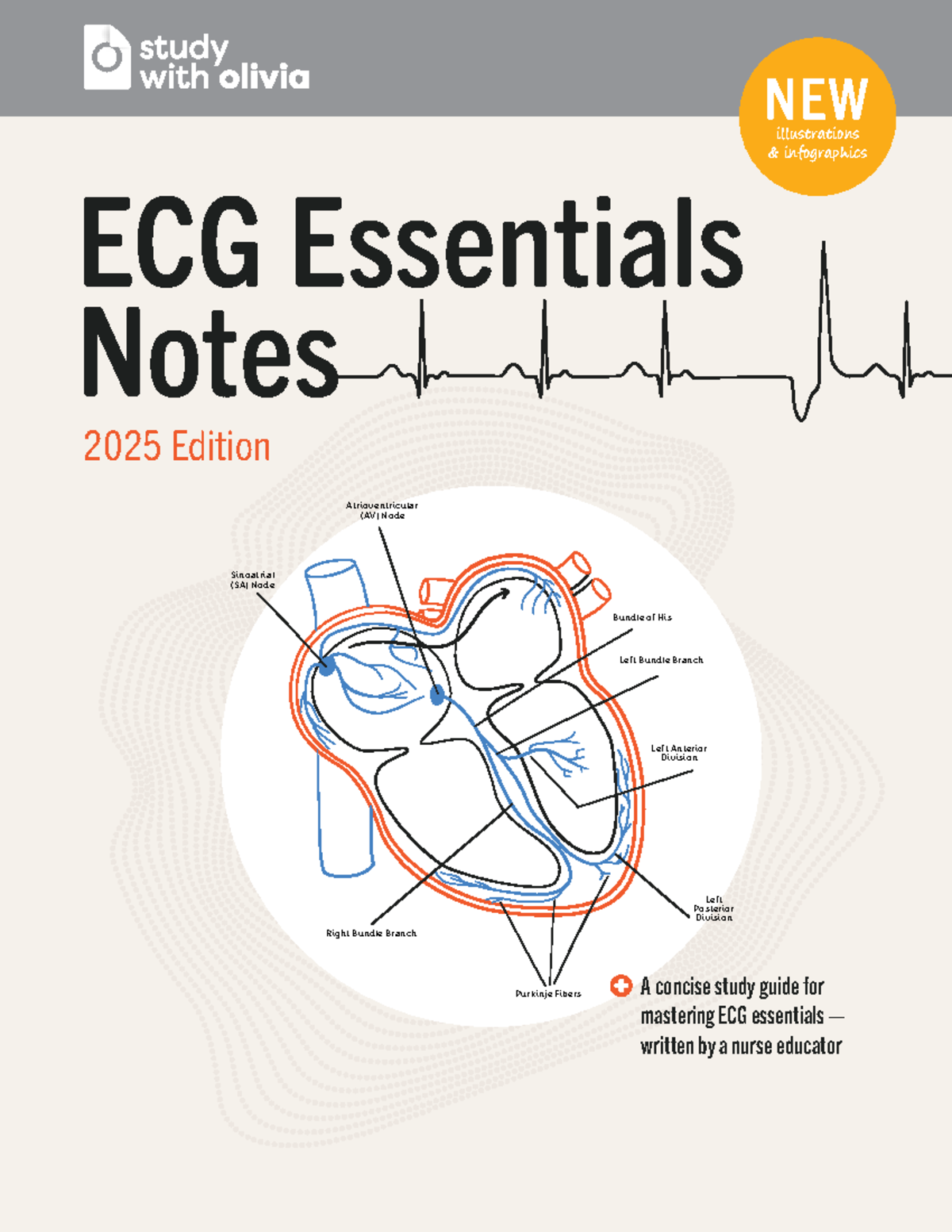 SWO-ECG Essentials Notes-Digital-110524 - illustrations & infographics ...