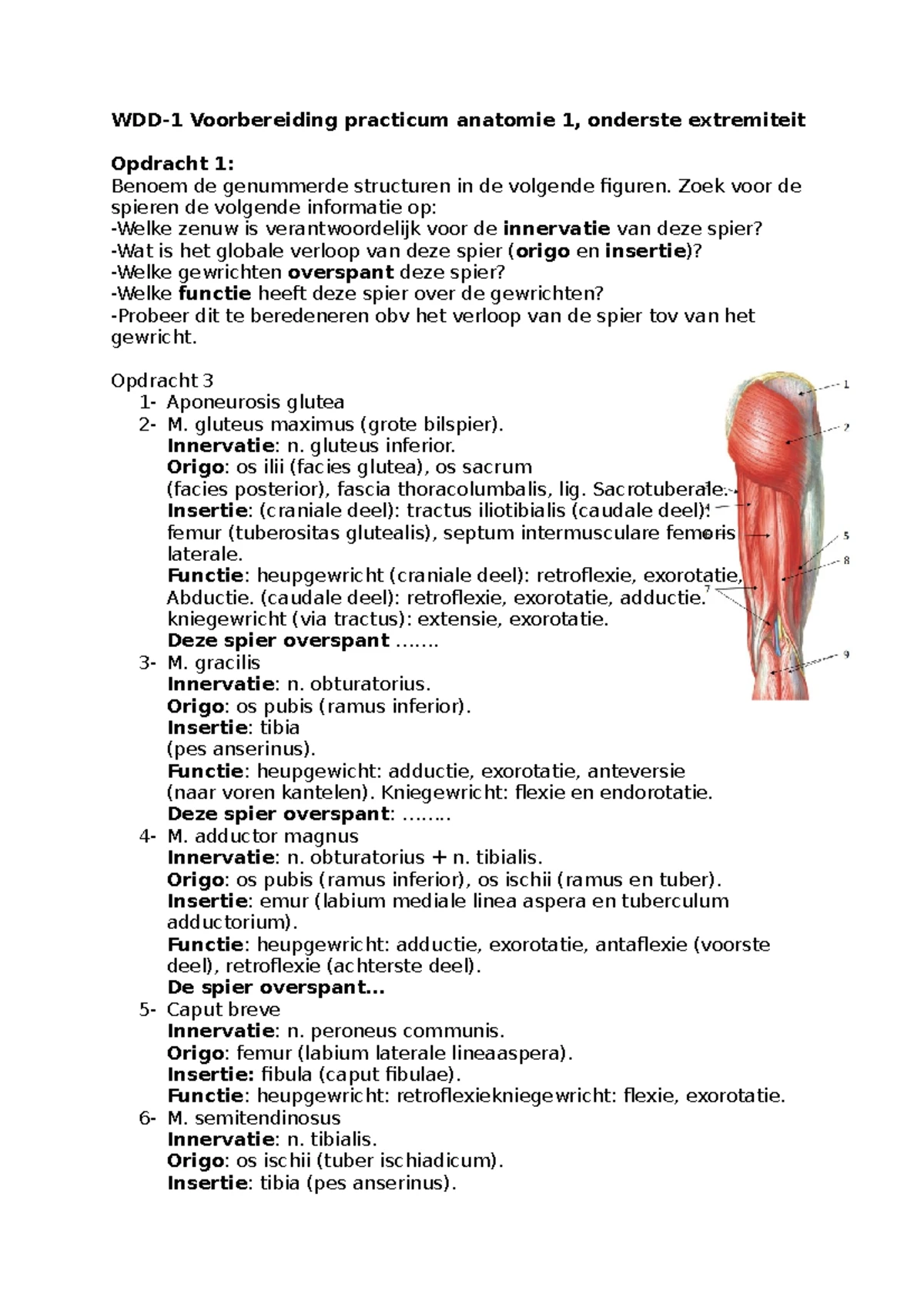 ZSO anatomie van het ruggenmerg - ZSO het ruggenmerg Bouw en functie 1 ...