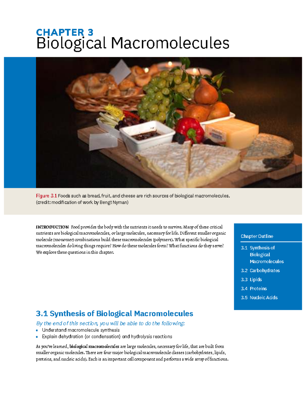 Biological Macromolecules: Synthesis, Types, and Functions (Chapter 3 ...