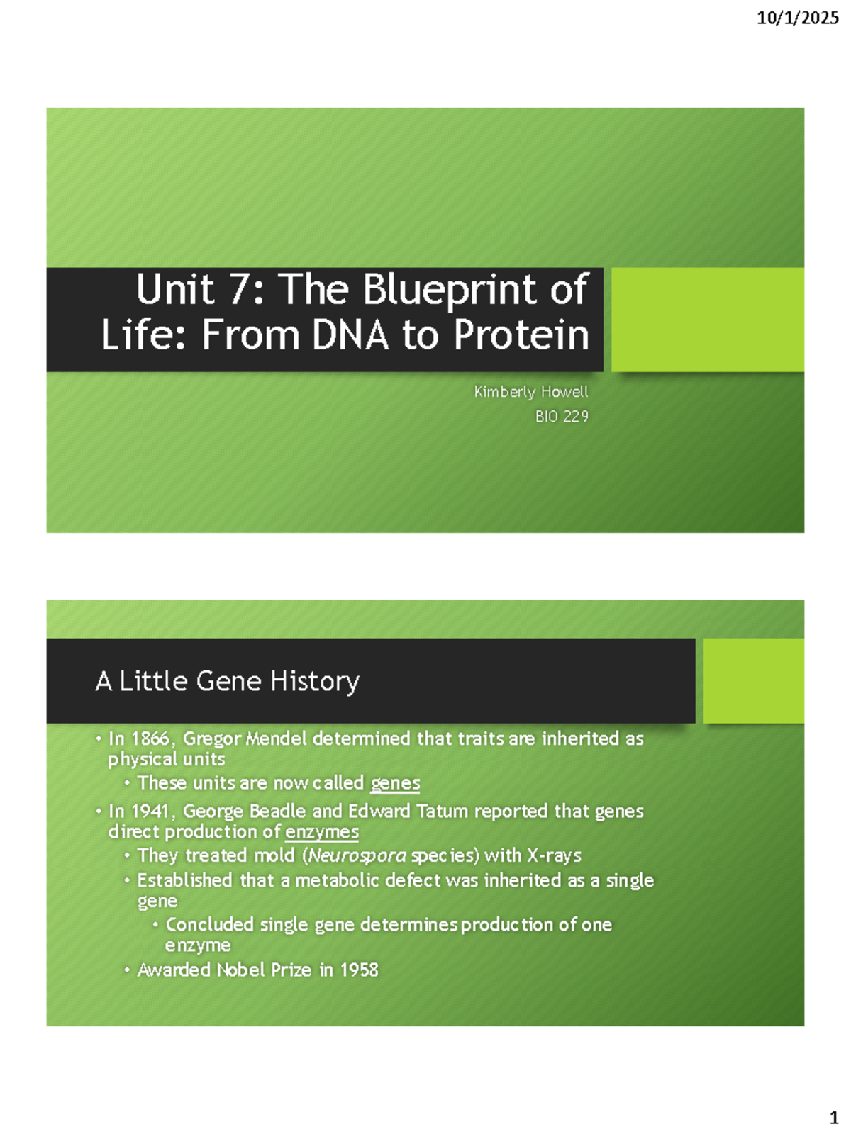 Unit 7: Blueprint of Life - From DNA to Protein (BIO 229) - Studocu