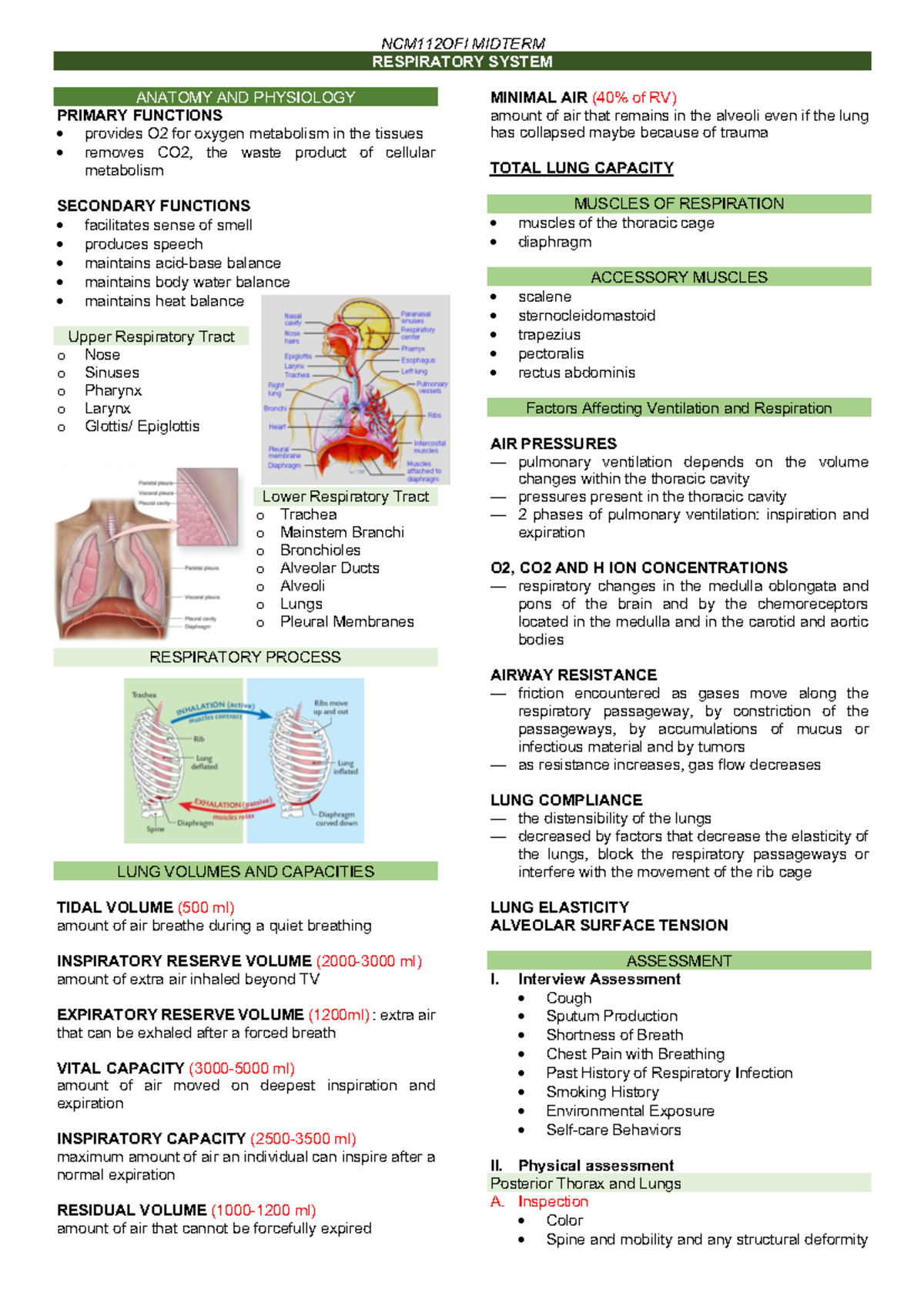 NCM112OFI Respiratory System Midterm Review and Study Guide - Studocu