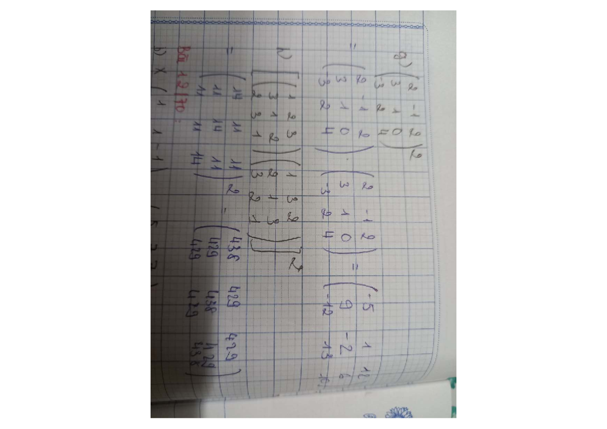Mathematics Case Study: Advanced Matrix Operations (MATH 202) - Studocu