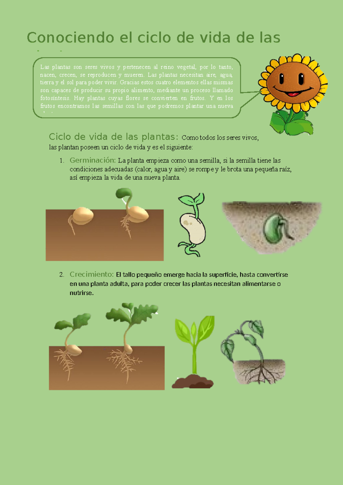 Ciclo De Vida De Las Plantas Con Flores Ciclo De Vida De Las