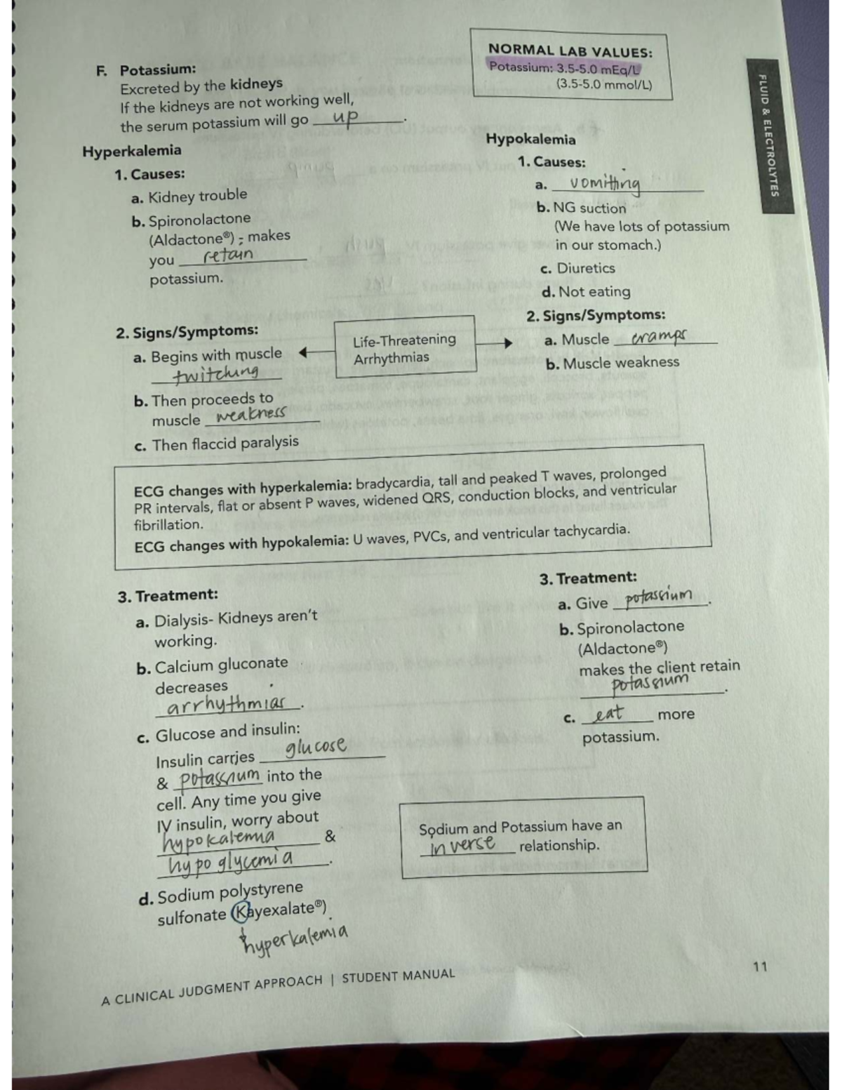 Fluid & Electrolytes: Normal Lab Values & Potassium Management - Studocu