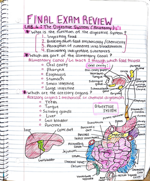 Digestive system lab report - Section ___________ LJate . J .. rj ...