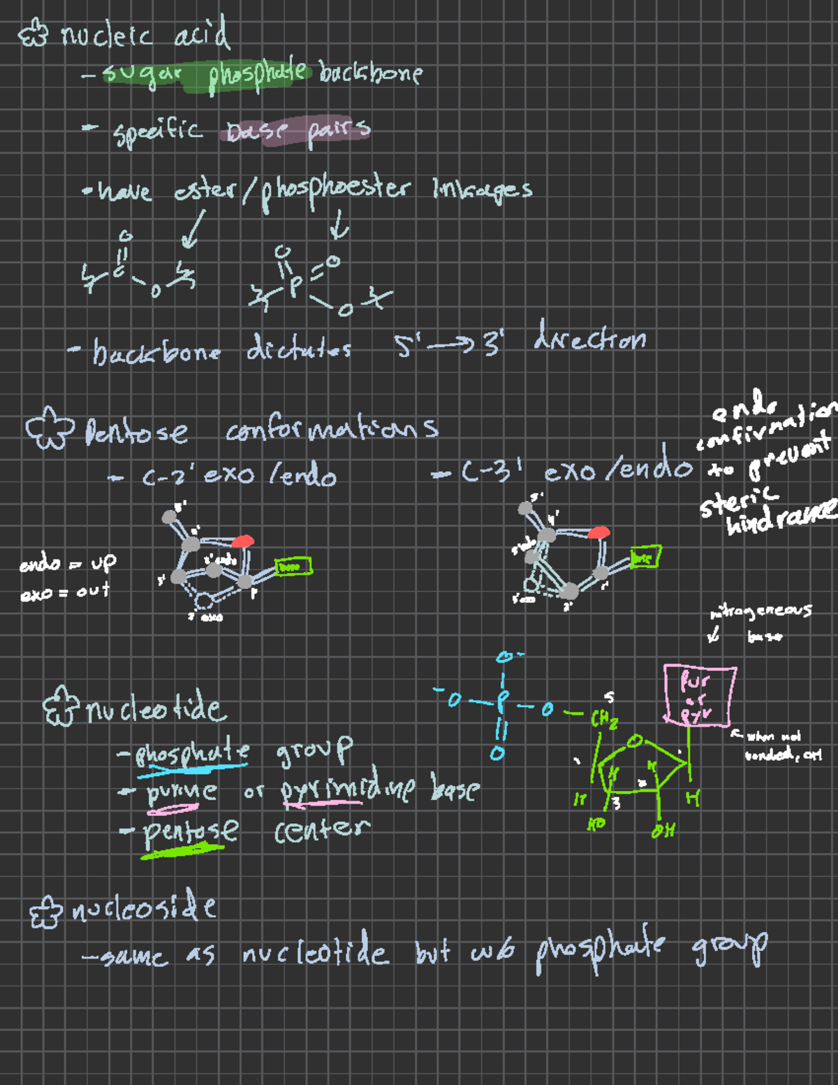 Nucleic Acids: Structure, Function, and Properties Analysis (Biology ...