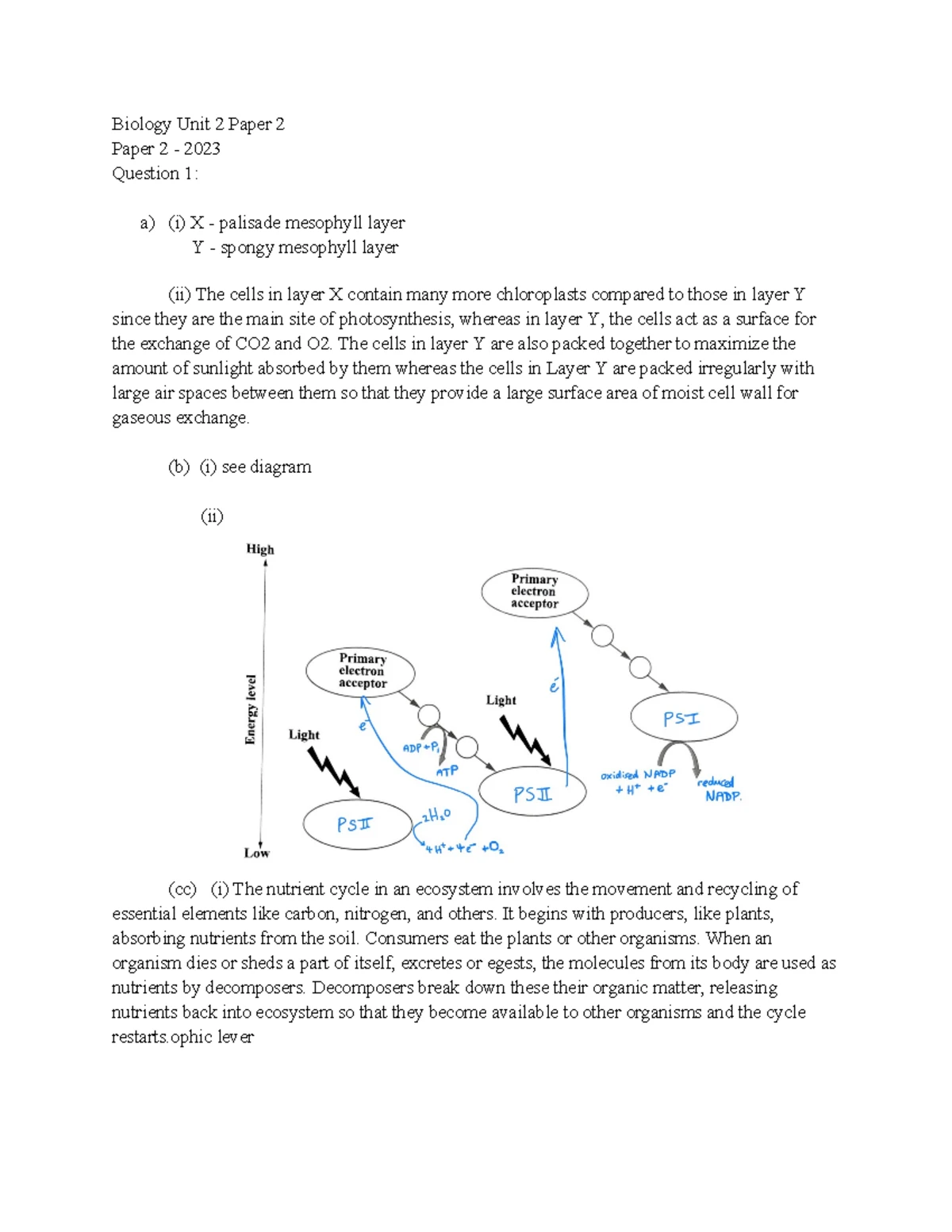 SNC2D Final Exam: Plant and Animal Cell Structures Overview - Studocu