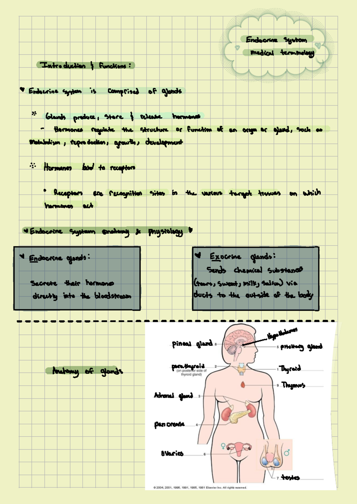 endocrine, reproduct, and cardiovascular - han 312 - Myxedema (myx/o ...