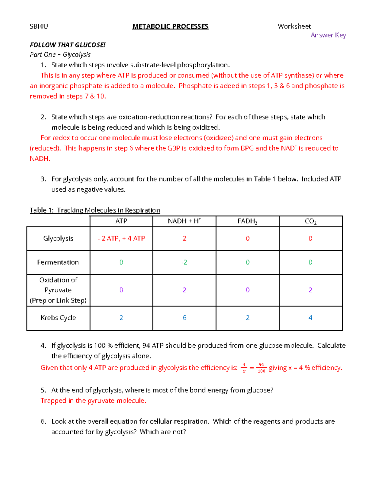 METABOLIC Worksheet Answer Key: Glycolysis & Cellular Respiration (BIO ...