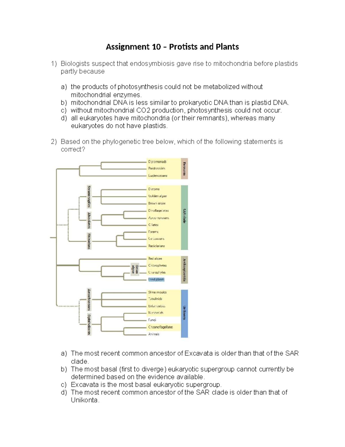 Biol 201 HW - Understanding Protists and Plant Life Cycles - Studocu
