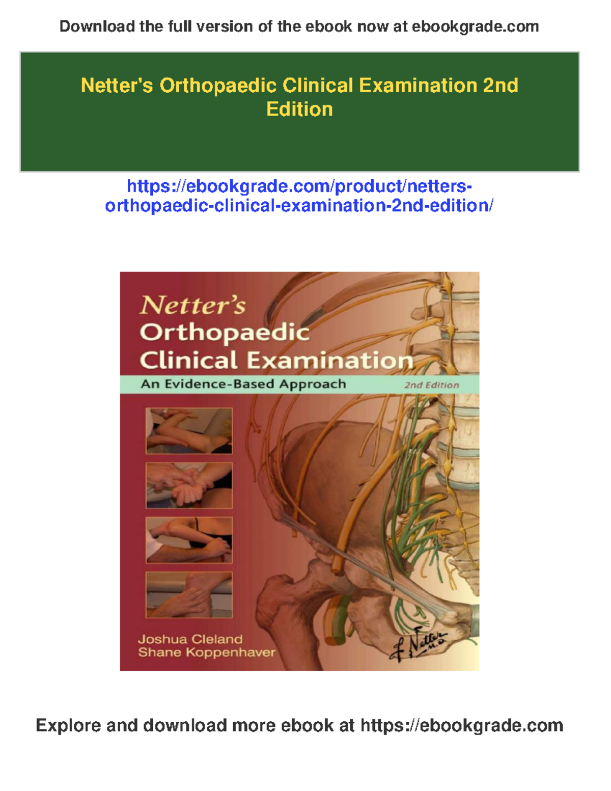 Netter s Orthopaedic Clinical Examination 2nd Edition ebooks 2024 ...
