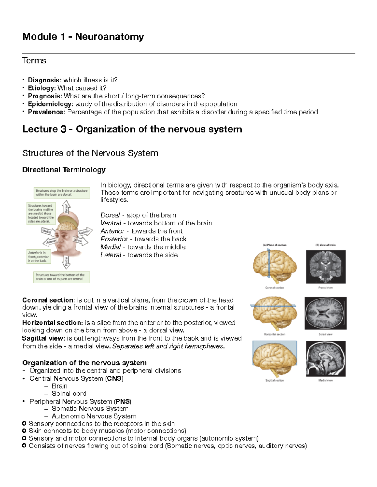 Neuroscience 1202: Module 1 - Neuroanatomy Lecture Notes (Weeks 1-3 ...