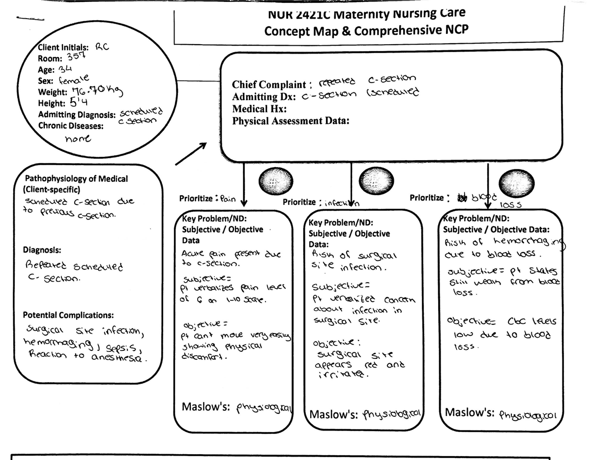 NUK 24210 Comprehensive Maternity Nursing Care Concept Map & NCP - Studocu