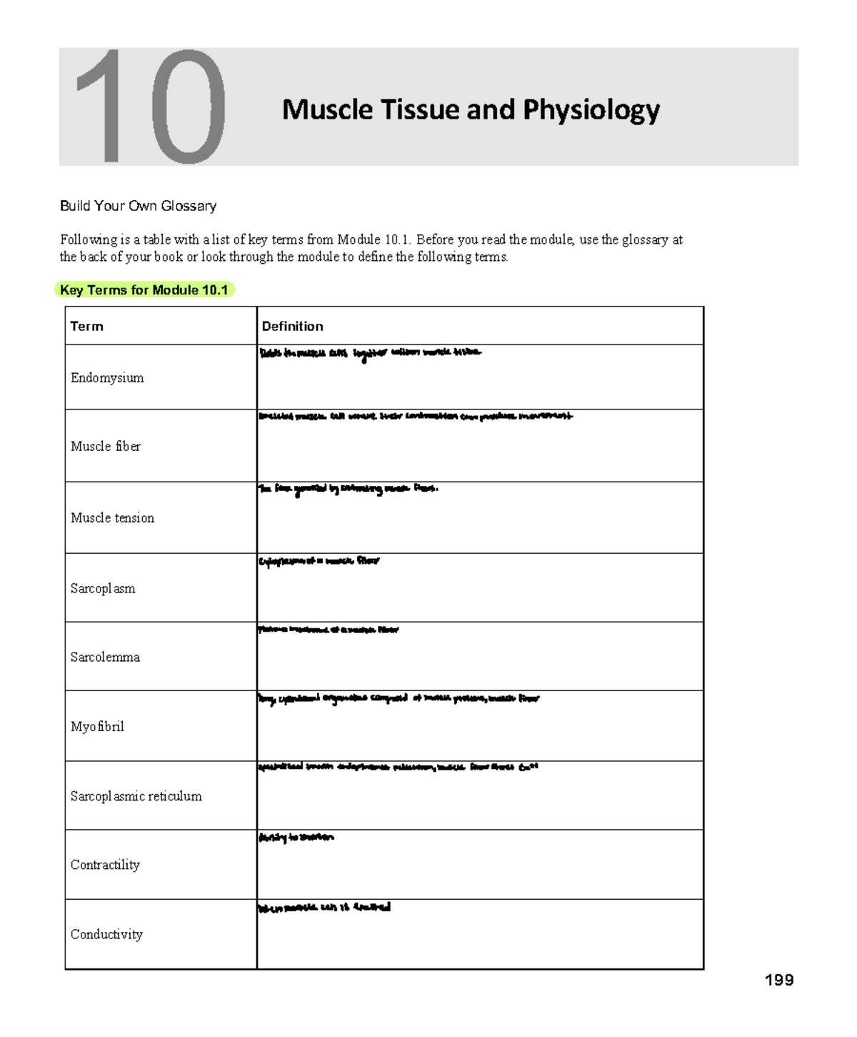 Ch 10 Muscle Tissue & Physiology - Assignment Glossary Notes - Studocu
