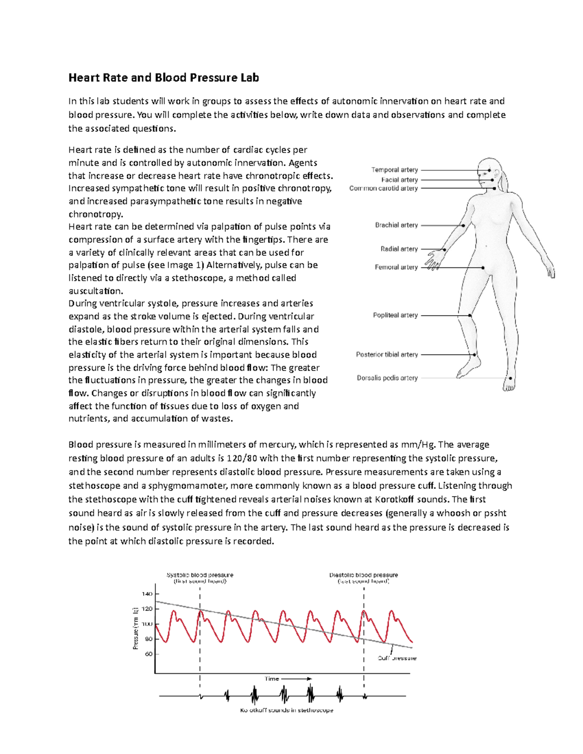 BIO 211L RS Activity 2Heart Rate And Blood Pressure Lab - Heart Rate ...